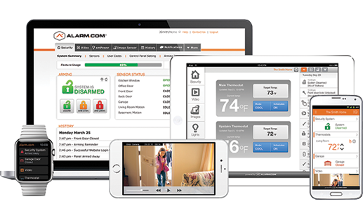 Action Integrated – Protecting and Enhancing Your World